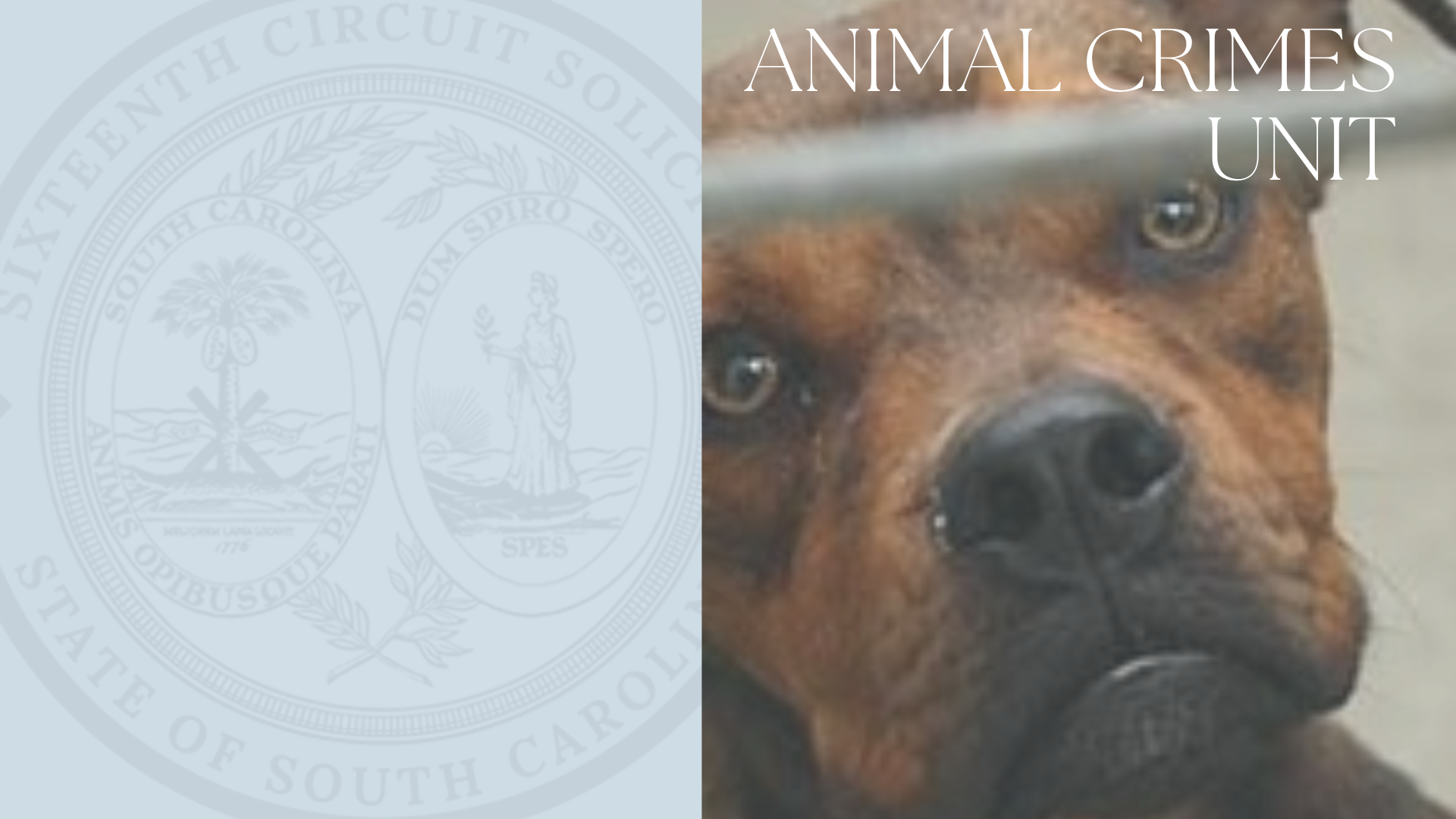 Animal Crimes - 16th Judicial Circuit Solicitors Office